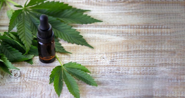 Cannabis indica: efeitos, diferença para a sativa e uso medicinal